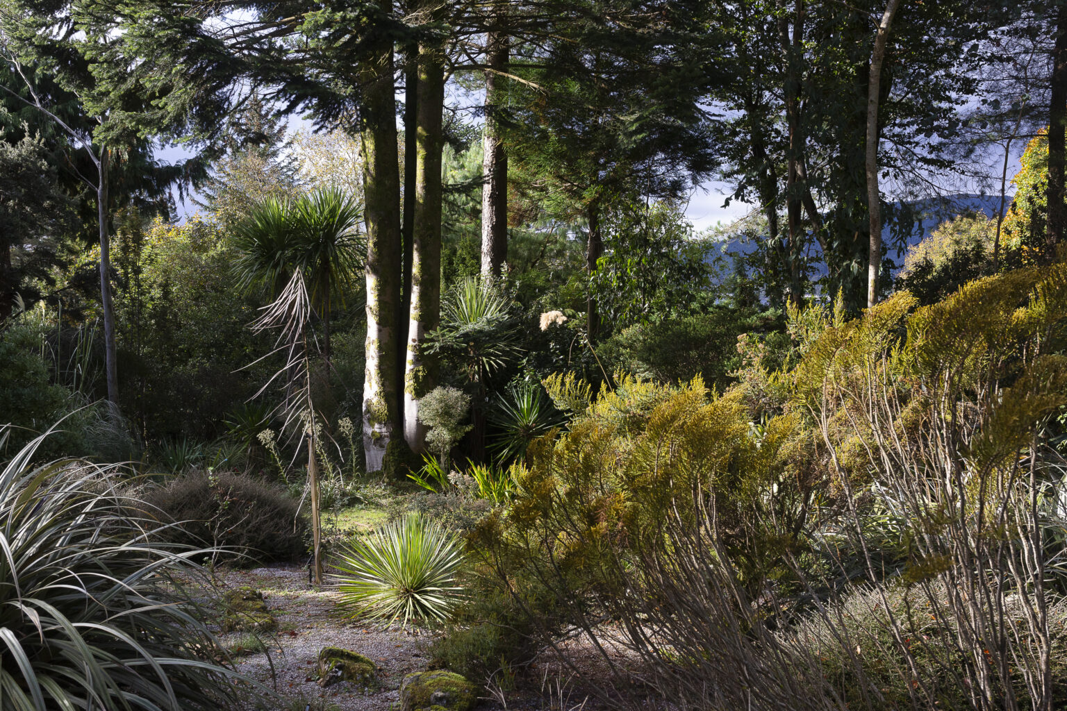 About The Linn – The Linn Botanic Garden